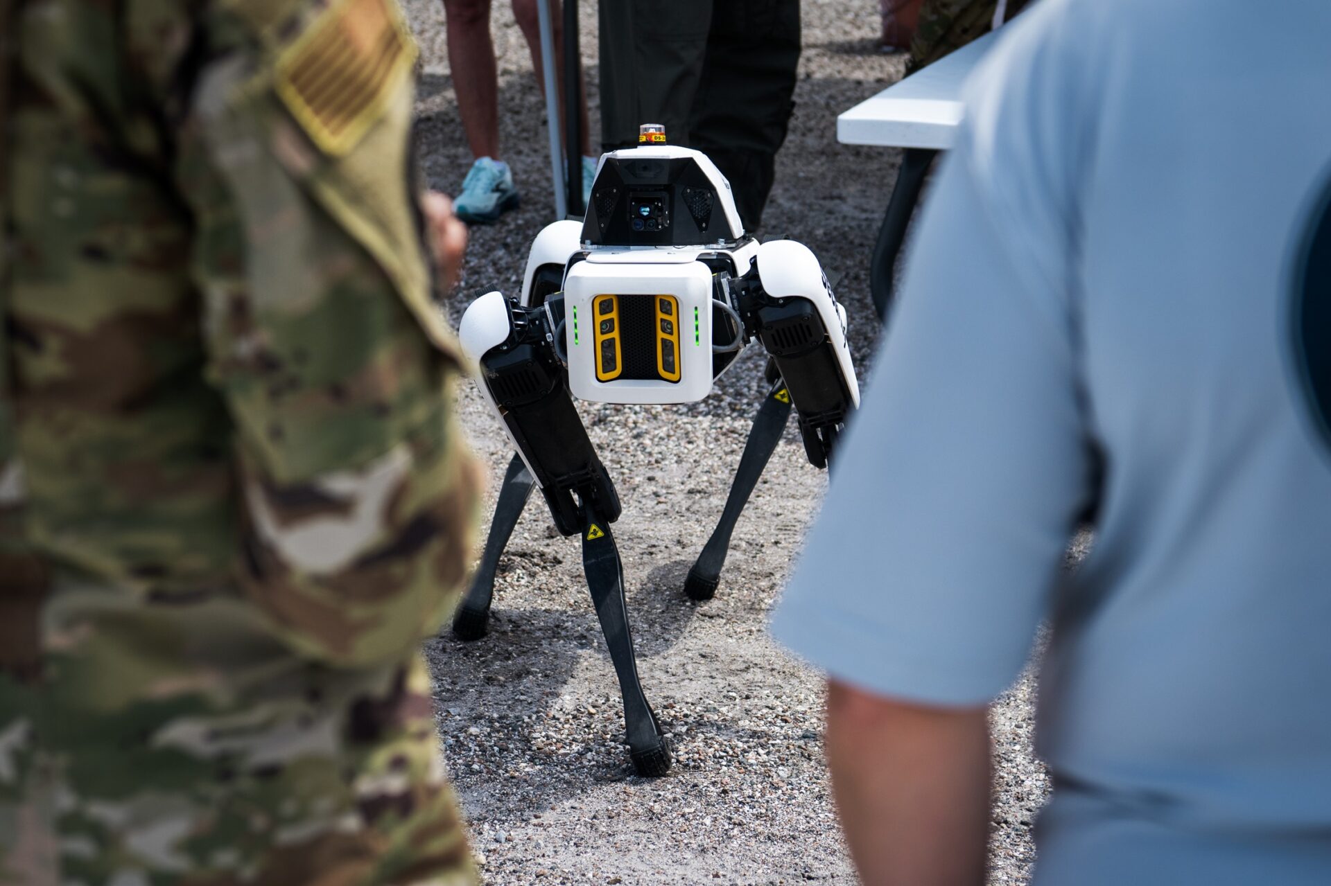 US Air Force fields first robotic dogs