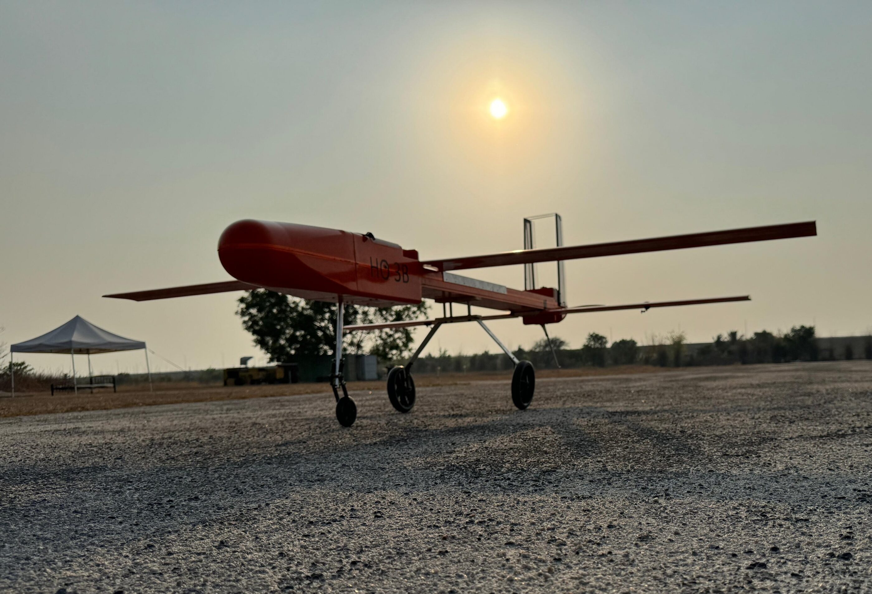 India buys indigenous suicide drones