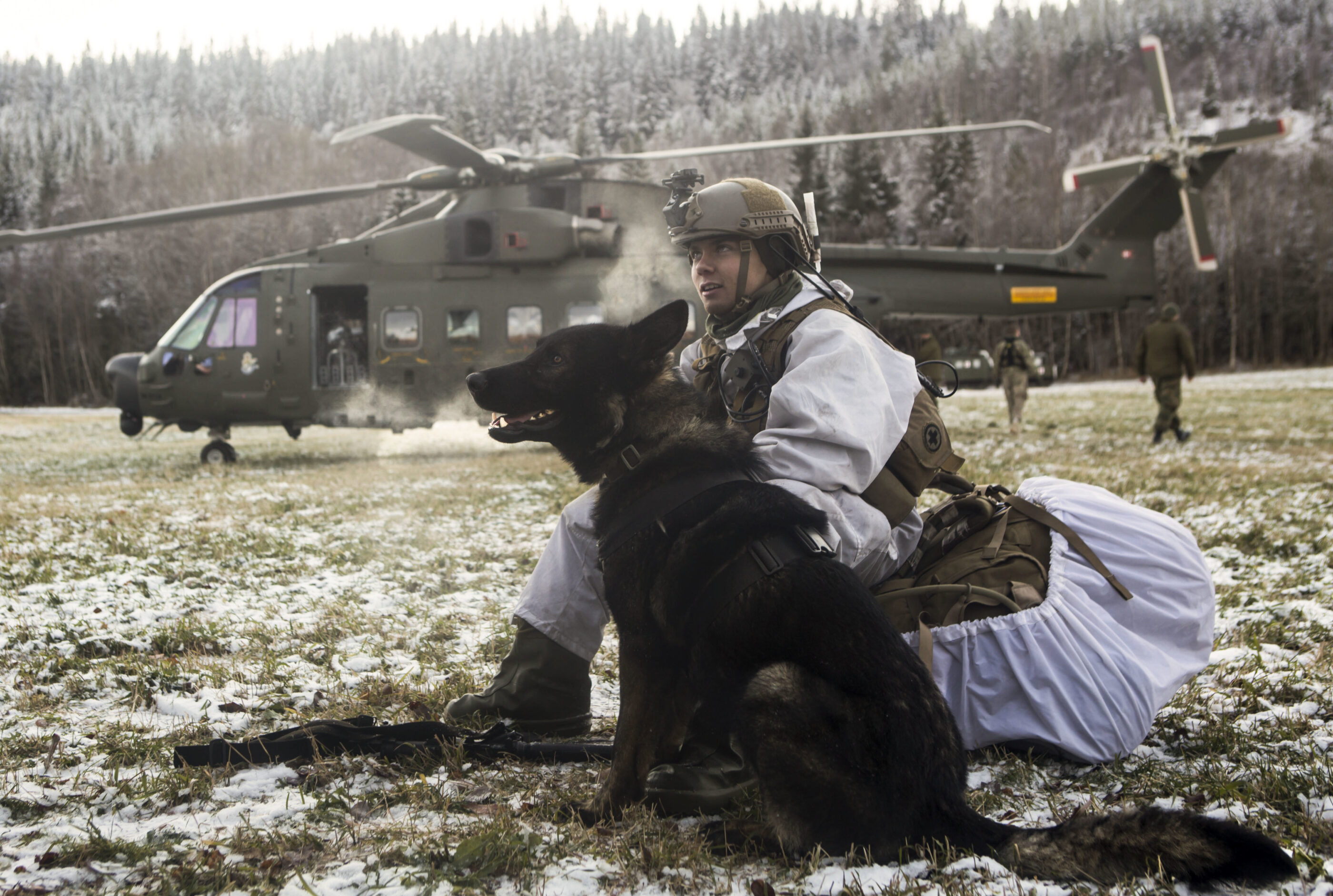 Norway signs $4M deal for military dog gear